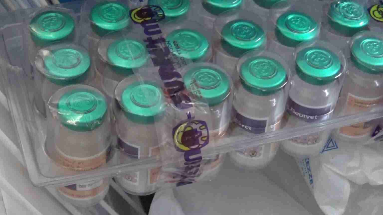 Harga Vaksin Rabies Untuk Manusia Terbaru Januari 2026